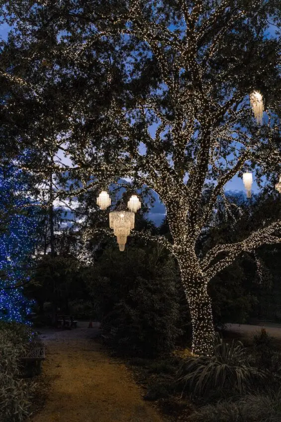 Official Visitor’s Information for Redding, CA | Visit Redding