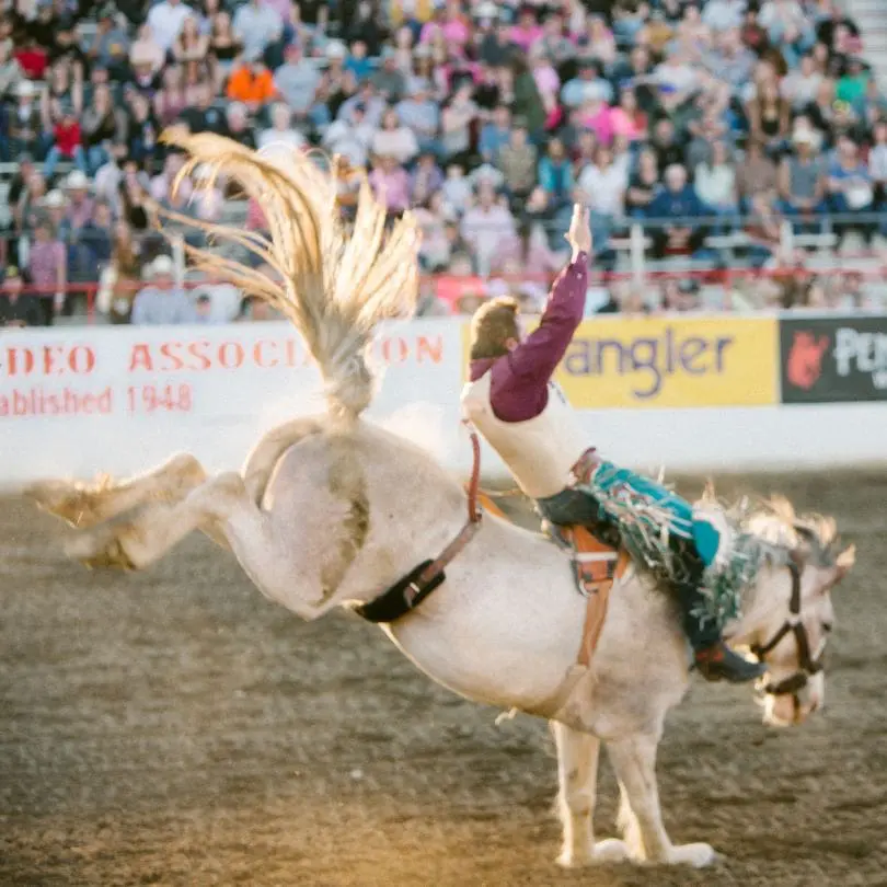 REDDING RODEO 2026 | VISIT REDDING